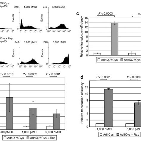Accessibility And Reactivity Of The Engineered Cysteine Residues Download Scientific Diagram