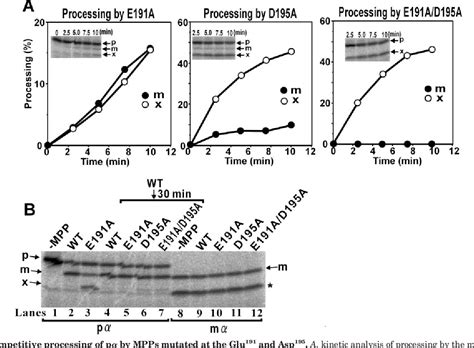 Figure 3 From Determination Of The Cleavage Site Of The Presequence By
