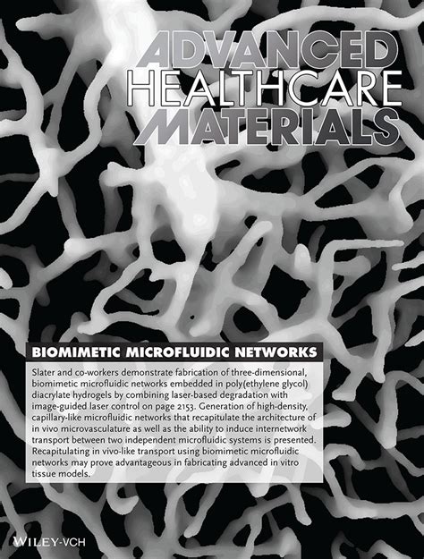 Biomimetic Microfluidic Networks Fabrication Of 3d Biomimetic Microfluidic Networks In