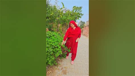 Imli Ka Boota Youtube