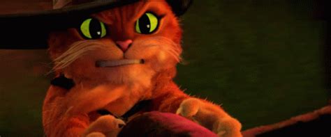 Puss In Boots Kitty Softpaws  Puss In Boots Kitty Softpaws Meow
