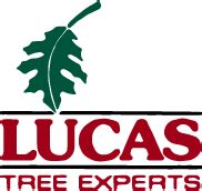Mobile App Lucas Tree Experts