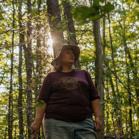 Some Researchers Are Looking For Bigfoot—just Dont Tell Anyone Wsj