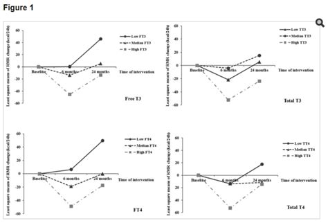 Armour Thyroid Vs Synthroid Conversion Dosage And Weight Loss