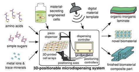 Technology And Laboratory Techniques Tissue Engineering