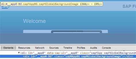 Change Dynamically Background Image Of Fiori Launc SAP Community