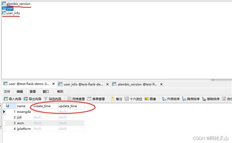 Python Flask Web基础五解决migrate数据迁移问题migrateapp Db Csdn博客