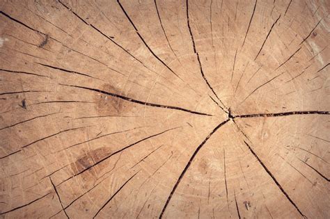 Free Picture Texture Pattern Floor Wood Rough Abstract Old