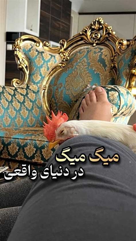 ‎☘️ داستان‌های جوجی و سودی ☘️‎ ‎ خونه بوی گند میده؟😏 آفرین که خروس آوردی و‌ مثل بعضیا سگ و