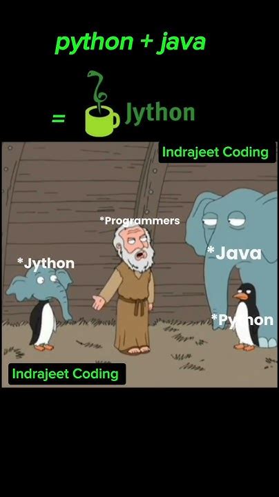 Pythonjava Jython Python Funny Viral Comedy Coading Youtube