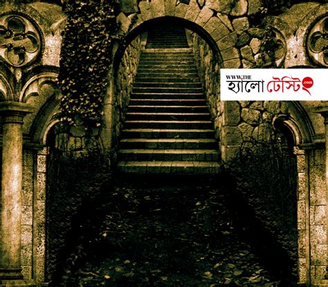 পুতুল বাড়ি Hello Testing