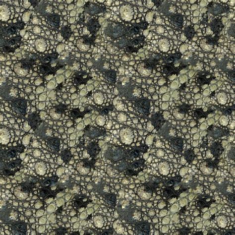 Animal Hide Patterns