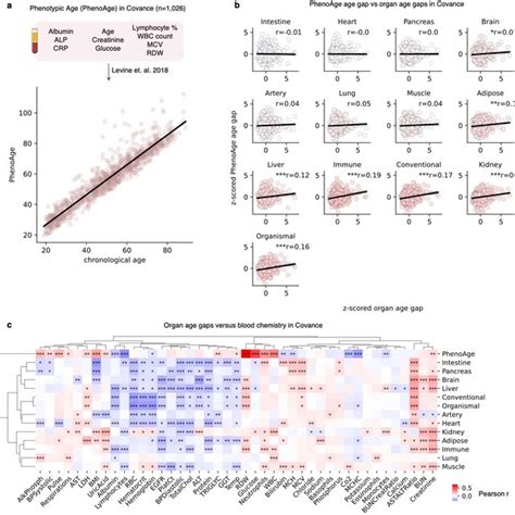 Pdf Organ Aging Signatures In The Plasma Proteome Track Health And