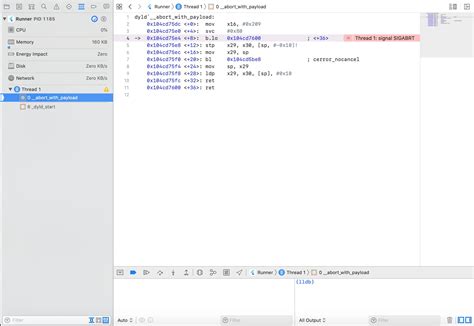 Ios How Do I Overcome This Error When Launching The App Stack Overflow