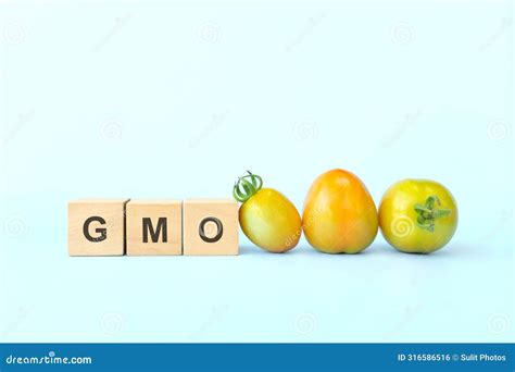Gmo Or Genetically Modified Organisms Food And Crop Concept Typography In Blue Background Stock