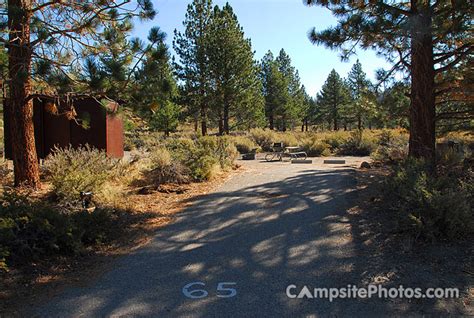 Oh Ridge Campsite Photos Campsite Availability Alerts And Info