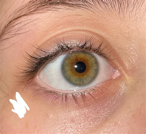 Hazel R Eyes