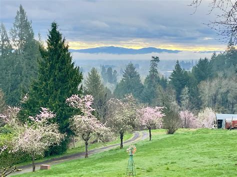 Damon Yauney Damonyauney • Instagram Photos And Videos