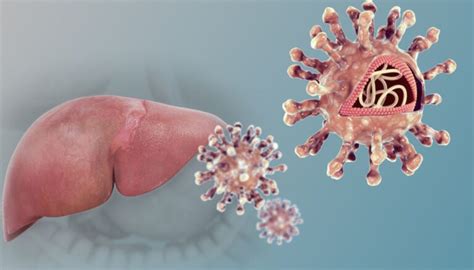 Epatite La Verità Sui Contagi E Come Difendersi