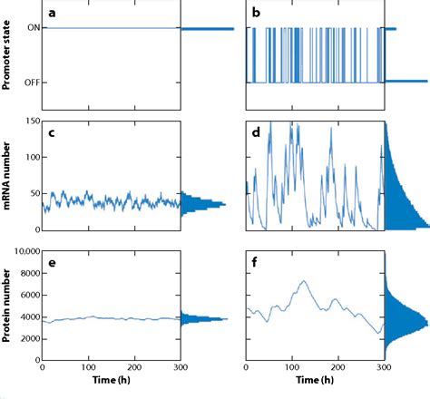 Figure 1 From Single Molecule Approaches To Stochastic Gene Expression Semantic Scholar