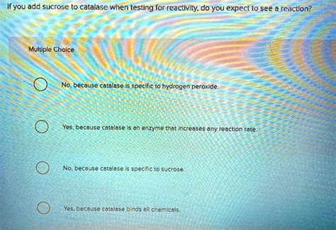 Solved If You Add Sucrose To Catalase When Testing For Reactivity Do You Expect To See A