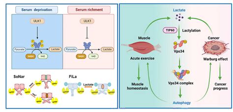301 Moved Permanently