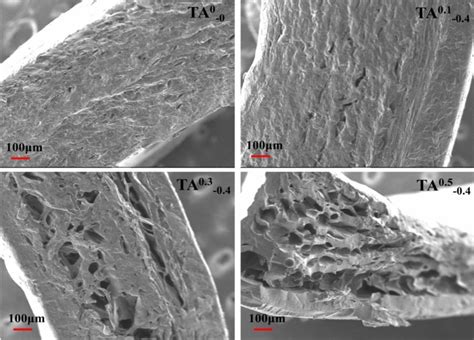 Tannic Acid Modified Keratinsodium Alginatecarboxymethyl Chitosan