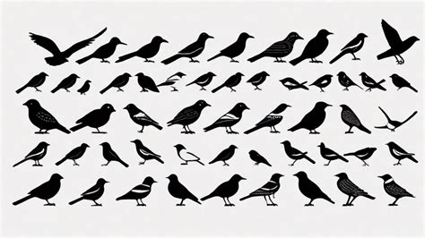 Premium Photo Observing Bird Migration Patterns