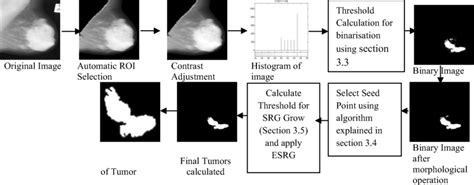 Flow Chart Of Proposed Tumor Detection Algorithm Download Scientific