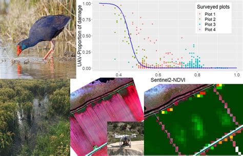 New Article Calibrating Sentinel 2 Imagery With Multispectral Uav