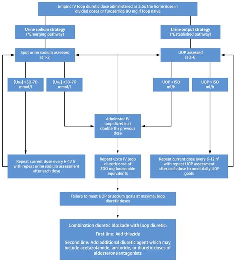 Ceiling Effect Of Loop Diuretics Shelly Lighting