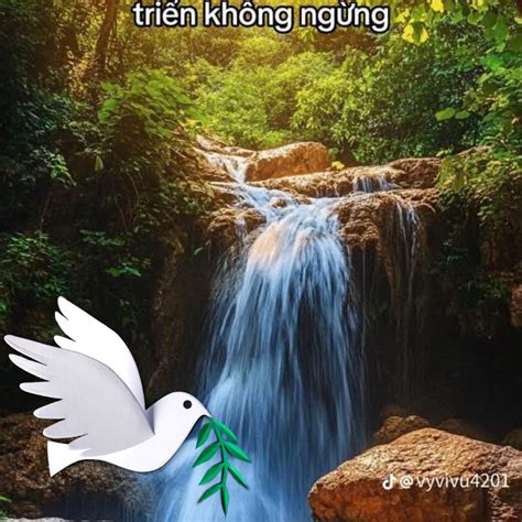 Dương Minh Đạt