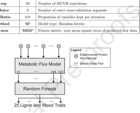 Block Diagram Describing The Training Of The Random Forest Models Download Scientific Diagram
