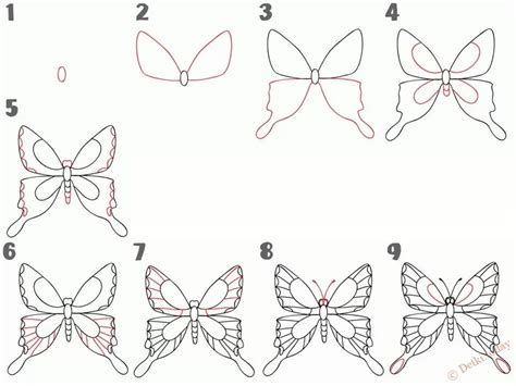 Покажи как нарисовать бабочку