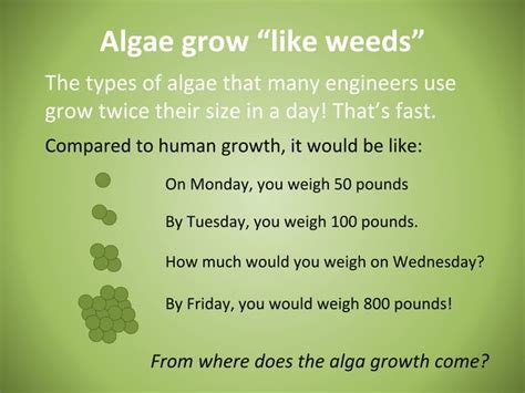Ucd 1811 Algae Biomass Presentationpptx Biological Sciences Science