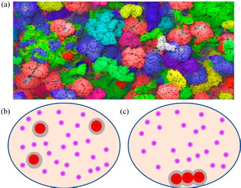 Figure 2 From Progress On Crowding Effect In Cell Like Structures Semantic Scholar