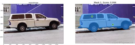 segment anything model sam ——分割一切，具有预测提示输入的图像分割实践 csdn博客