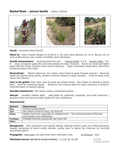 Gardening Sheet Juncus Textilis Pdf
