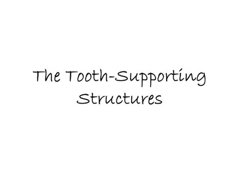 The Tooth Supporting Structures
