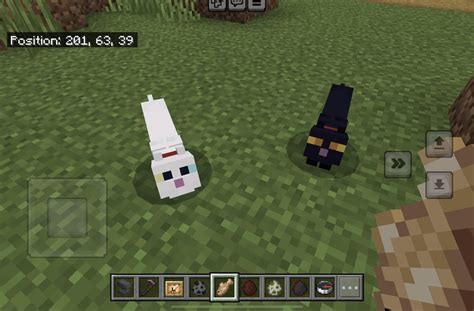 Can Someone Make A Fanart Of My Minecraft Cats Marshmallow Left And
