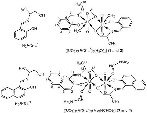 The Chemical Structure Diagrams Of The Schiff Bases And Their Complexes Download Scientific
