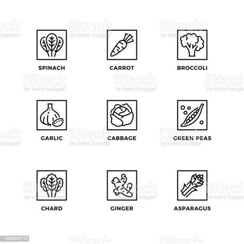 디자인 요소 로고 디자인 템플릿 아이콘 및 건강한 채소를 위한 배지의 벡터 세트 과일에 대한 스톡 벡터 아트 및 기타 이미지 과일 그릇 근대 비트 Istock