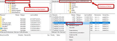 How To Access Virtual Box Files On Windows Host Peoplesoft Tutorial
