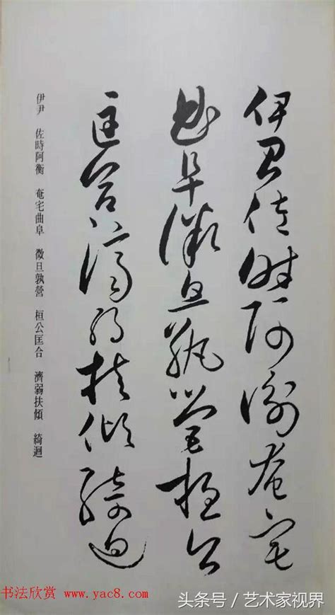 罕見的懷素草書千字文 每日頭條