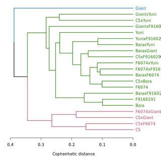 Dendrogram Of 21 Chili Genotypes Download Scientific Diagram