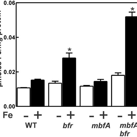 Total Intracellular Iron Content Wild Type And Mutant Strains Cells Of