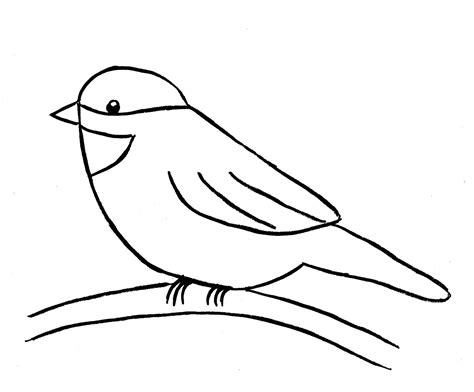 Chickadee Drawing Step By Step Art Starts
