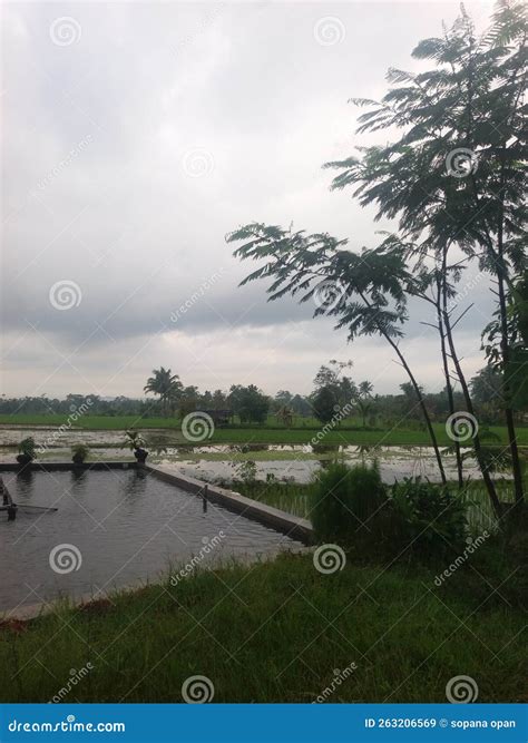 Nature West Java With Culture Forests Stock Image Image Of View Health 263206569 Nature West Java With Culture Forests Stock Image Image Of View Health 263206569