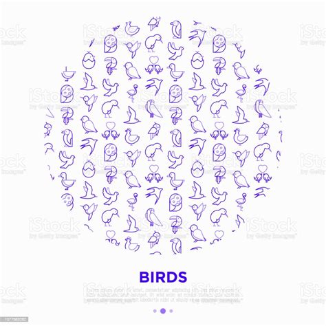 원 선 아이콘에서에서 새 개념 비둘기 부엉이 펭귄 참새 제비 키 위 앵무새 독수리 허 밍 버드 핑크 플라밍고 현대 벡터 일러스트 레이 션 인쇄 미디어 서식 파일 갈매기에