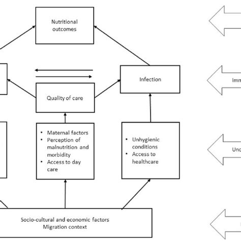 Conceptual Framework Adapted From Unicef Conceptual Framework On Download Scientific Diagram